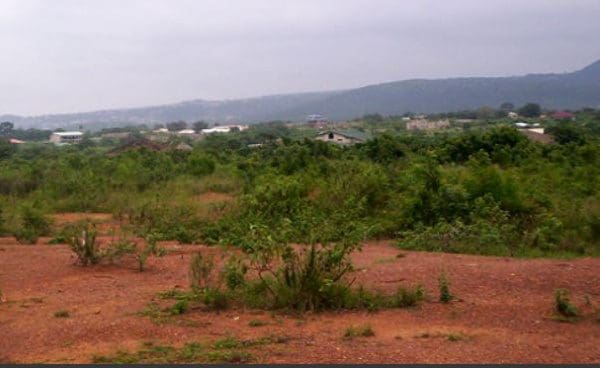 Animal Research Institute land being shared like bread – Apenkwa Mantse ...