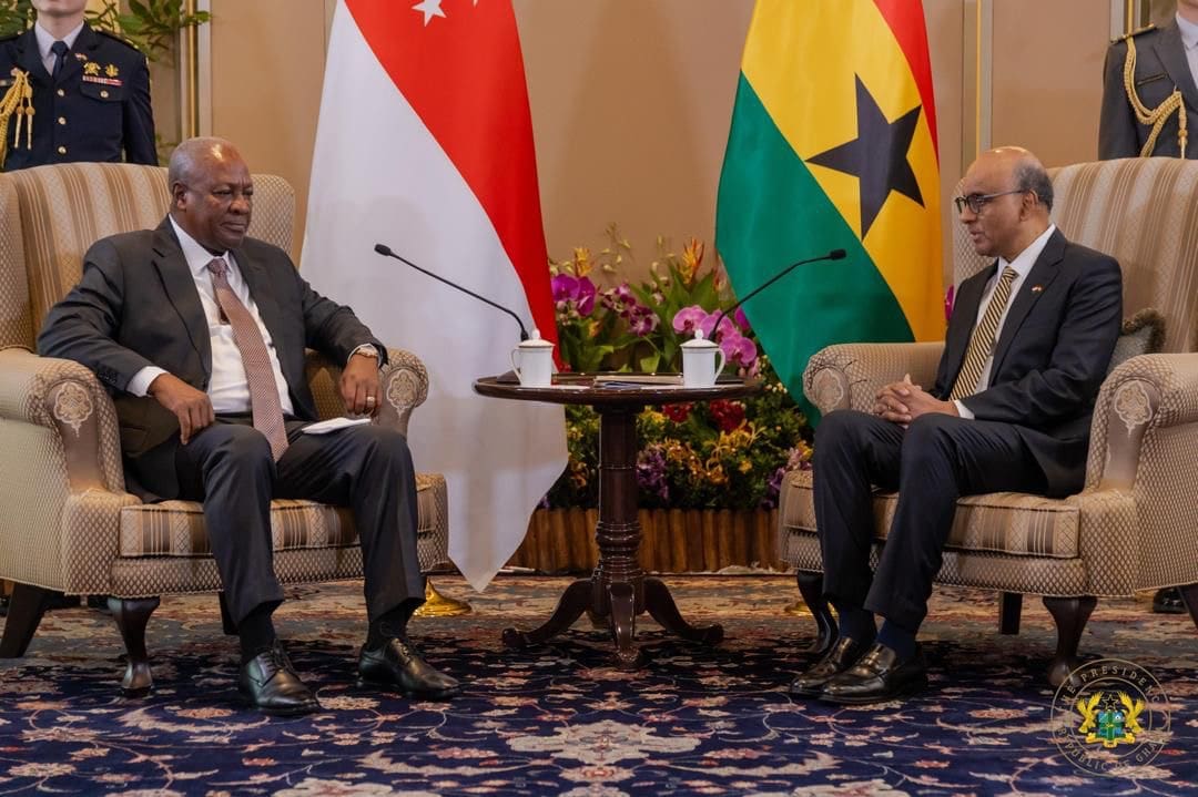From Gateway to Powerhouse: Mahama Courts Singaporean Investment in ...
